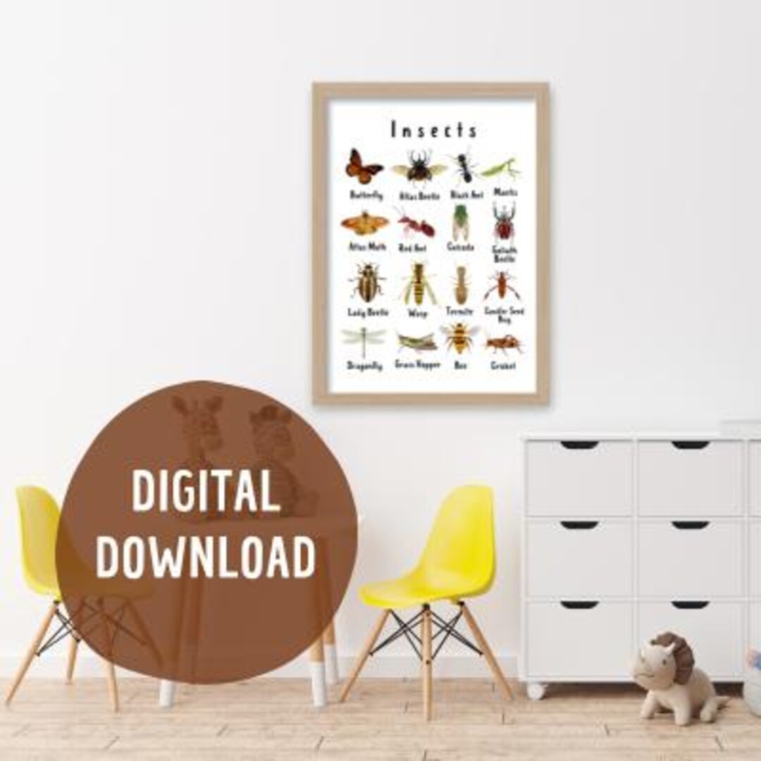 Insects Poster, Kids Educational Poster, Classroom Poster, Home School ...