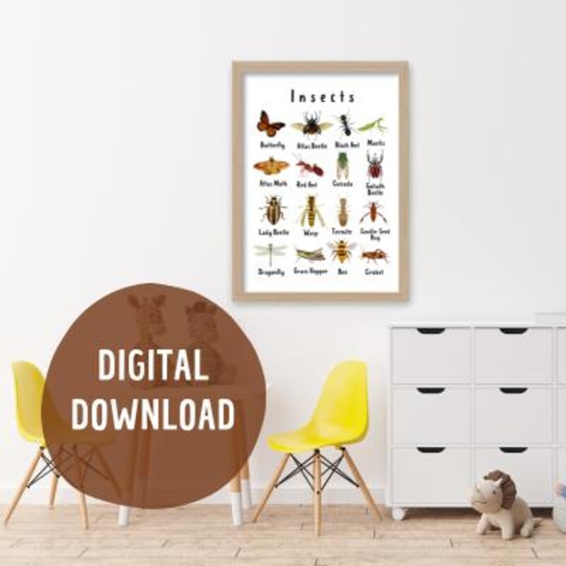 Insect Poster - Etsy