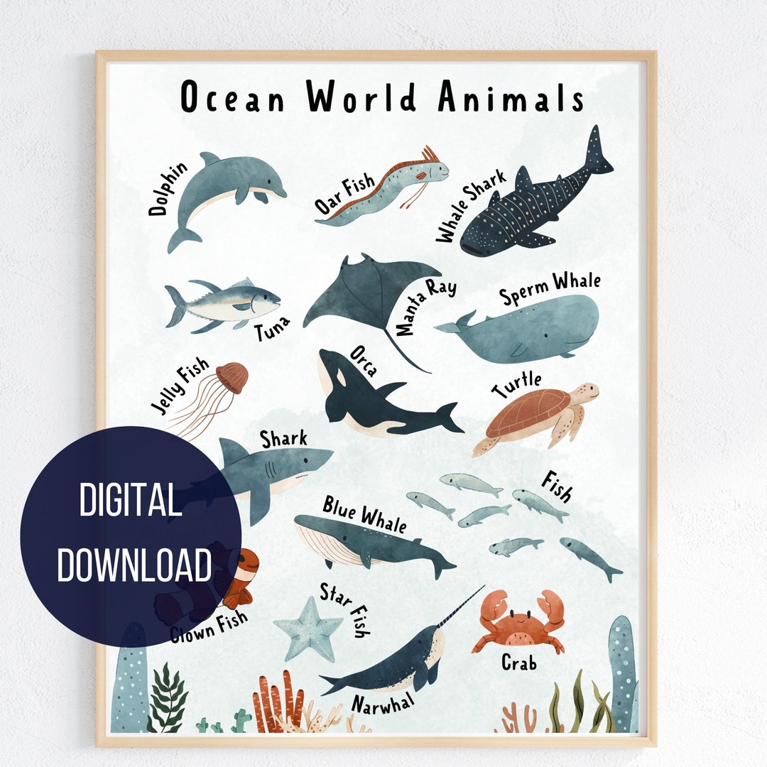 Ocean Animal Poster, Montessori Materials, Ocean Nursery Wall Decor ...
