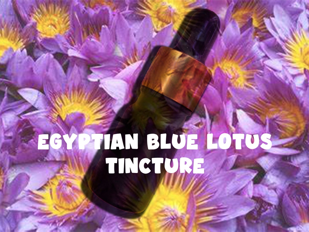 EGYPTIAN BLUE LOTUS 15ml High Strength Tincture - Etsy