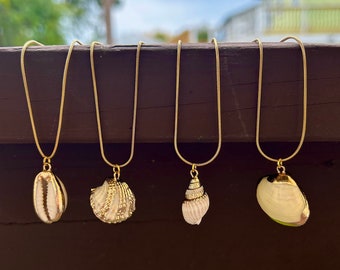 Calico Shell Necklace, One of a Kind, Pearl Connector, Handmade, White ...