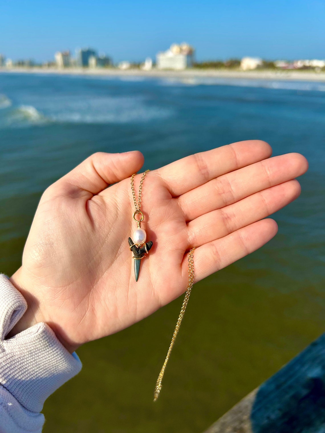 Shark Tooth Necklace, Locally Found Tooth, Handmade, 16 K Gold Cable ...