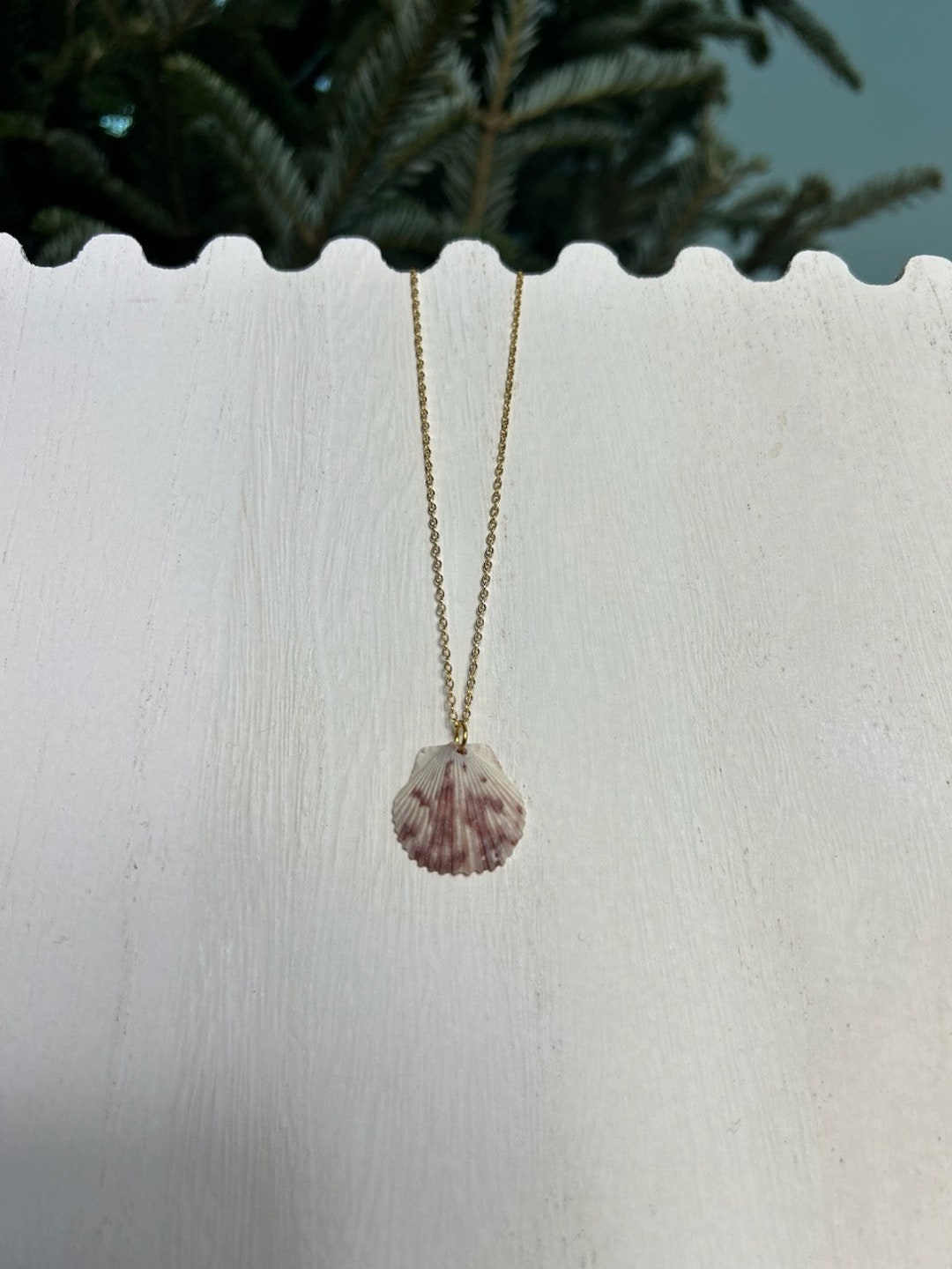 Gold Calico Shell Necklace – Genuine Found Seashell Pendant on 16-inch ...