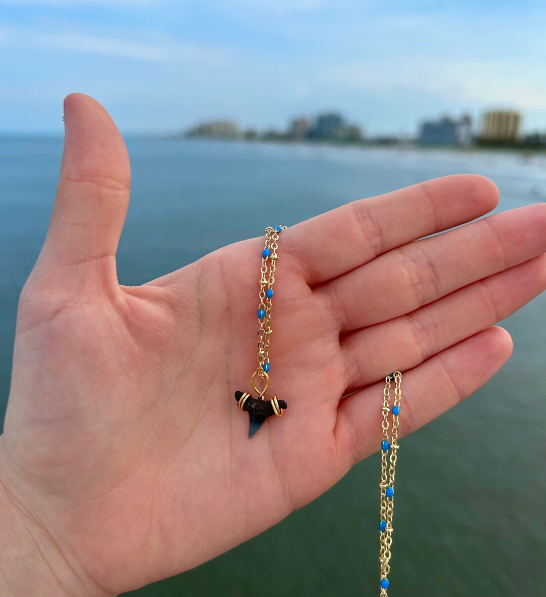 Shark Tooth Necklace, Locally Found Tooth, Handmade, Blue and Gold ...