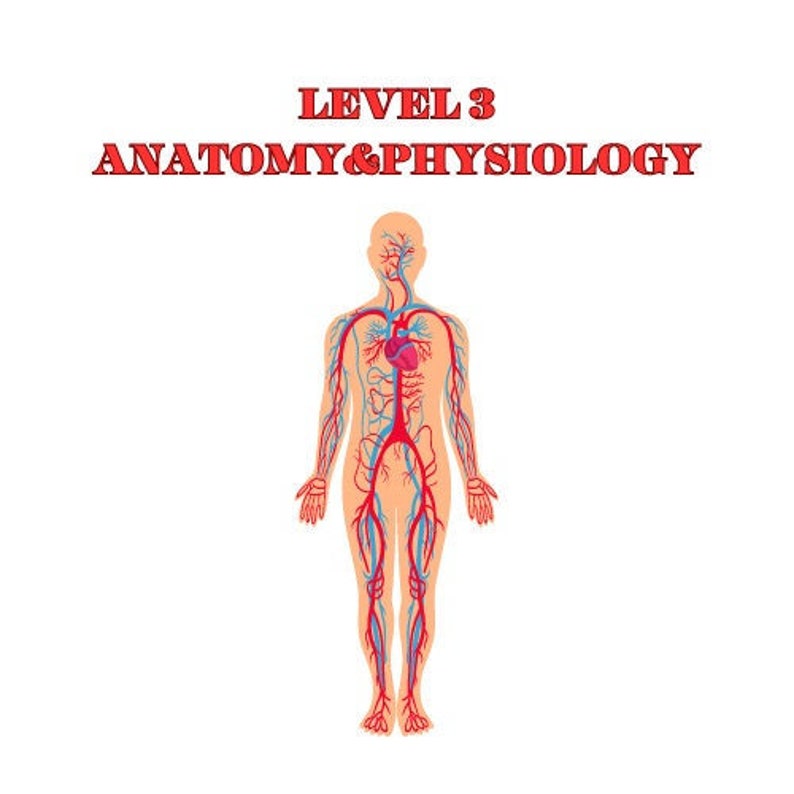 Anatomy & Physiology Level 3 Editable Training Manual - Etsy
