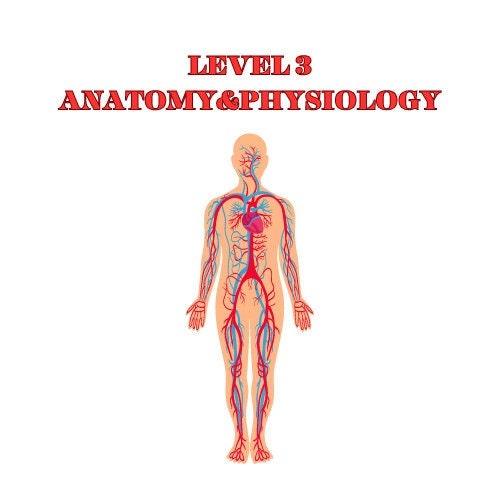 Anatomy & Physiology Level 3 Editable Training Manual - Etsy Anatomy & Physiology Level 3 Editable Training Manual - Etsy