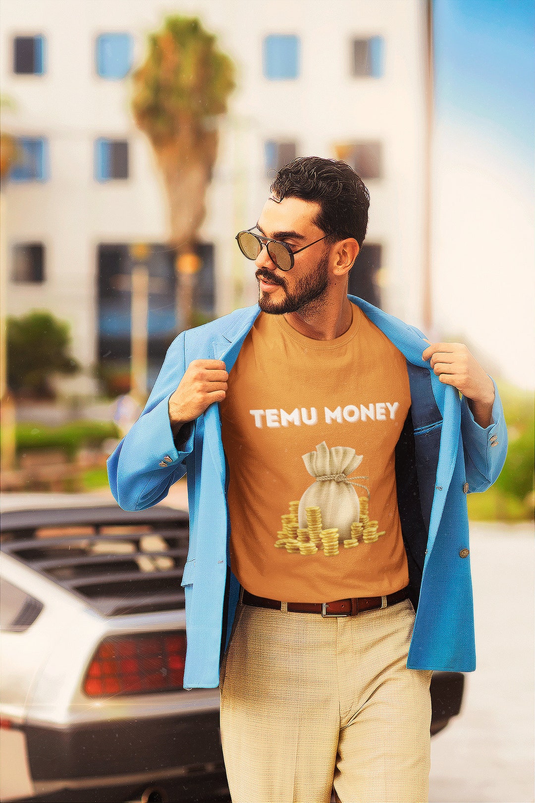 Temu Tee, Funny Shirt, Funny Graphic Shirt, Meme Shirt, Temu Money ...