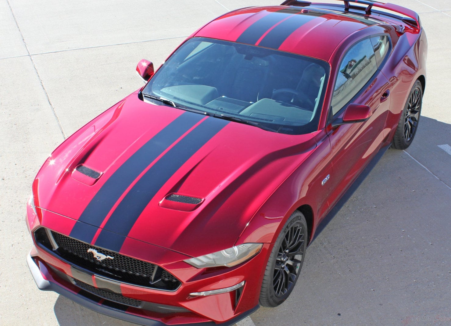 Fits Ford Mustang Hood, Roof, Trunk and Bumpers Stripe Kit (3 Piece ...