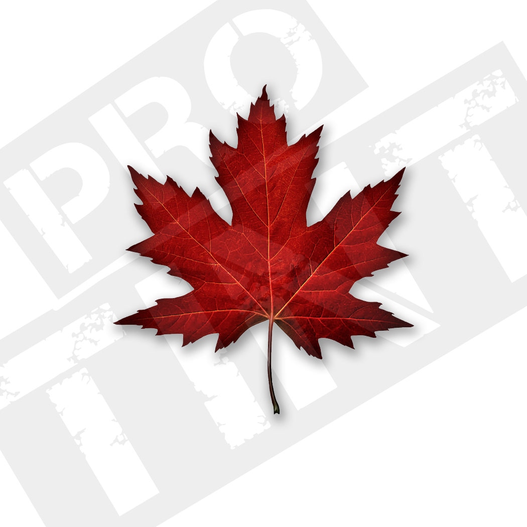 Realistic Maple Leaf Canada Vinyl Decal - Waterproof Vinyl, Car Decal ...