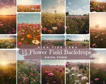 15 Ocean Scenery Digital Backdrops for Professional Photography, Studio ...