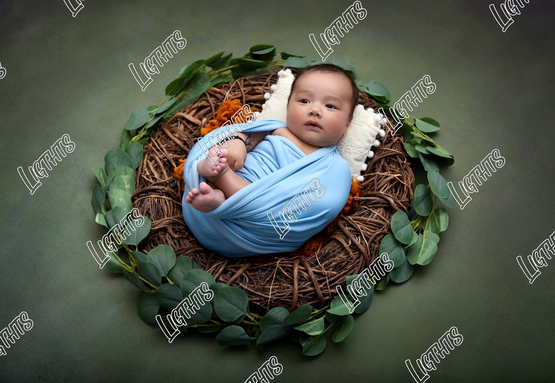 Newborn Digital Background, Baby Digital Backgrounds, Green Newborn ...