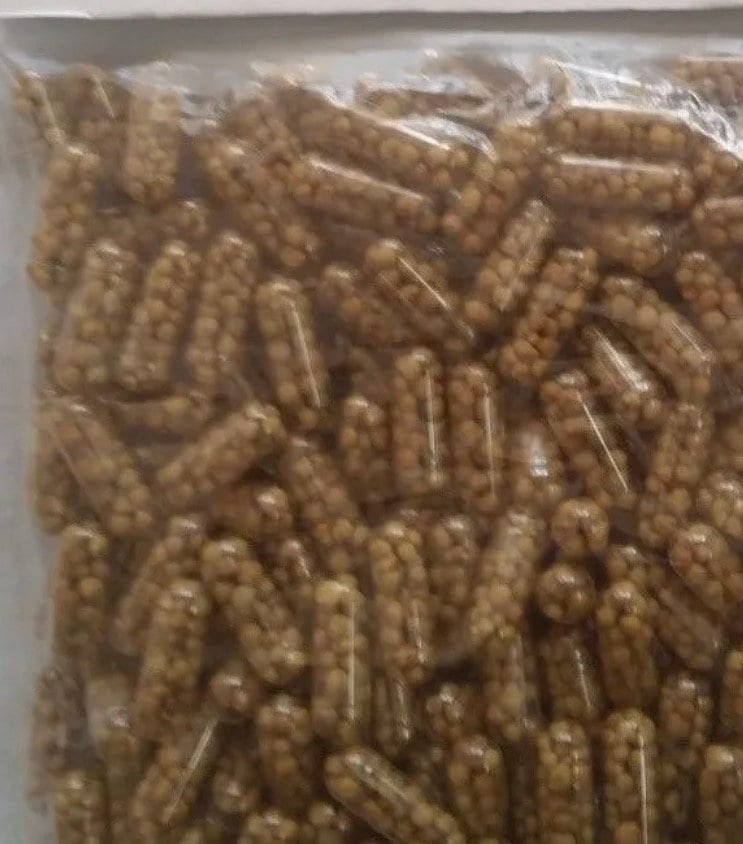 Rootvitality: Aquatic Root Tabs for Flourishing Aquarium Plants Pack of ...