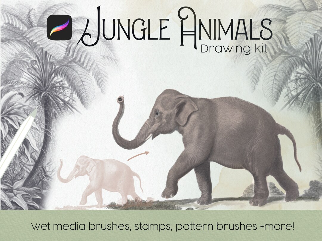 Jungle Animals Drawing Set for Procreate, Procreate Brushes, Procreate ...