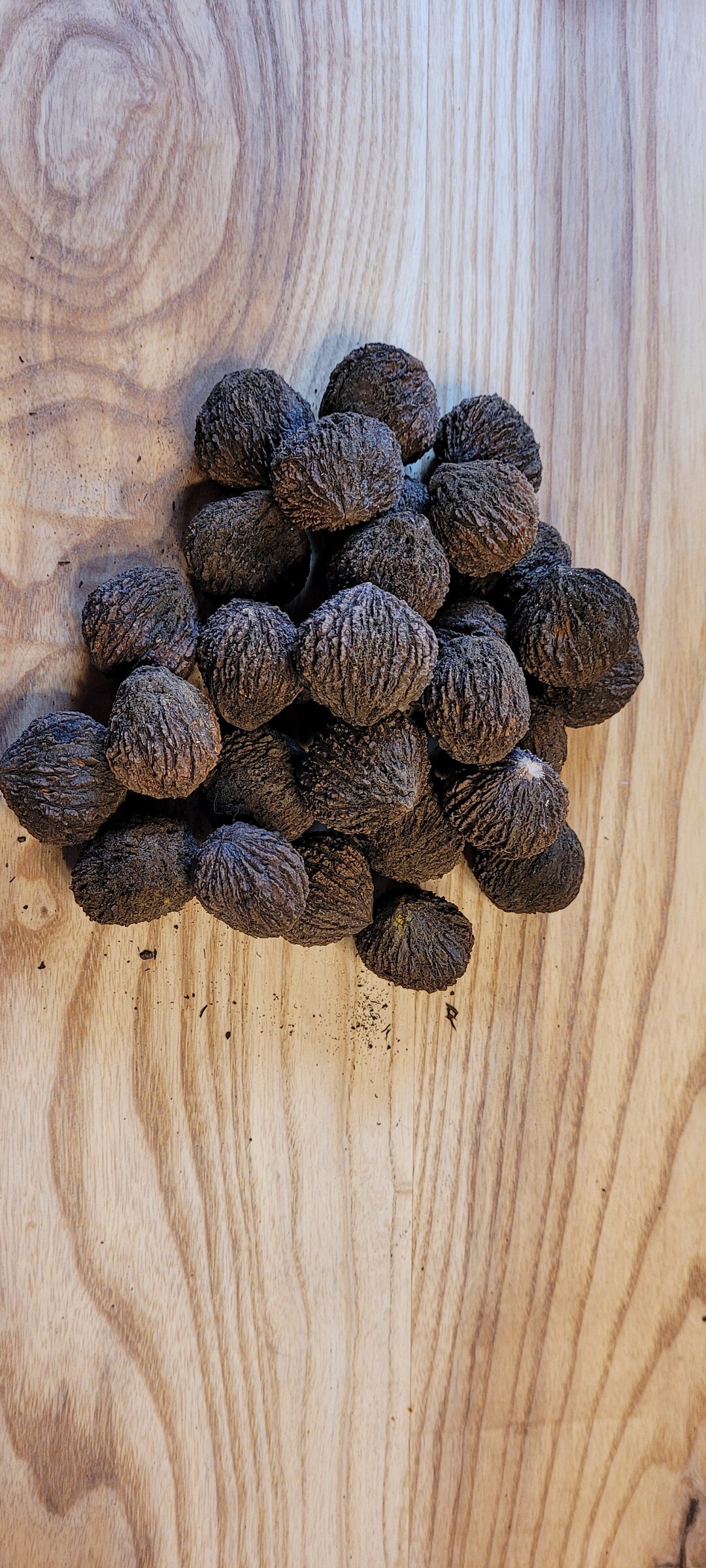 Whole Black Walnuts - Etsy
