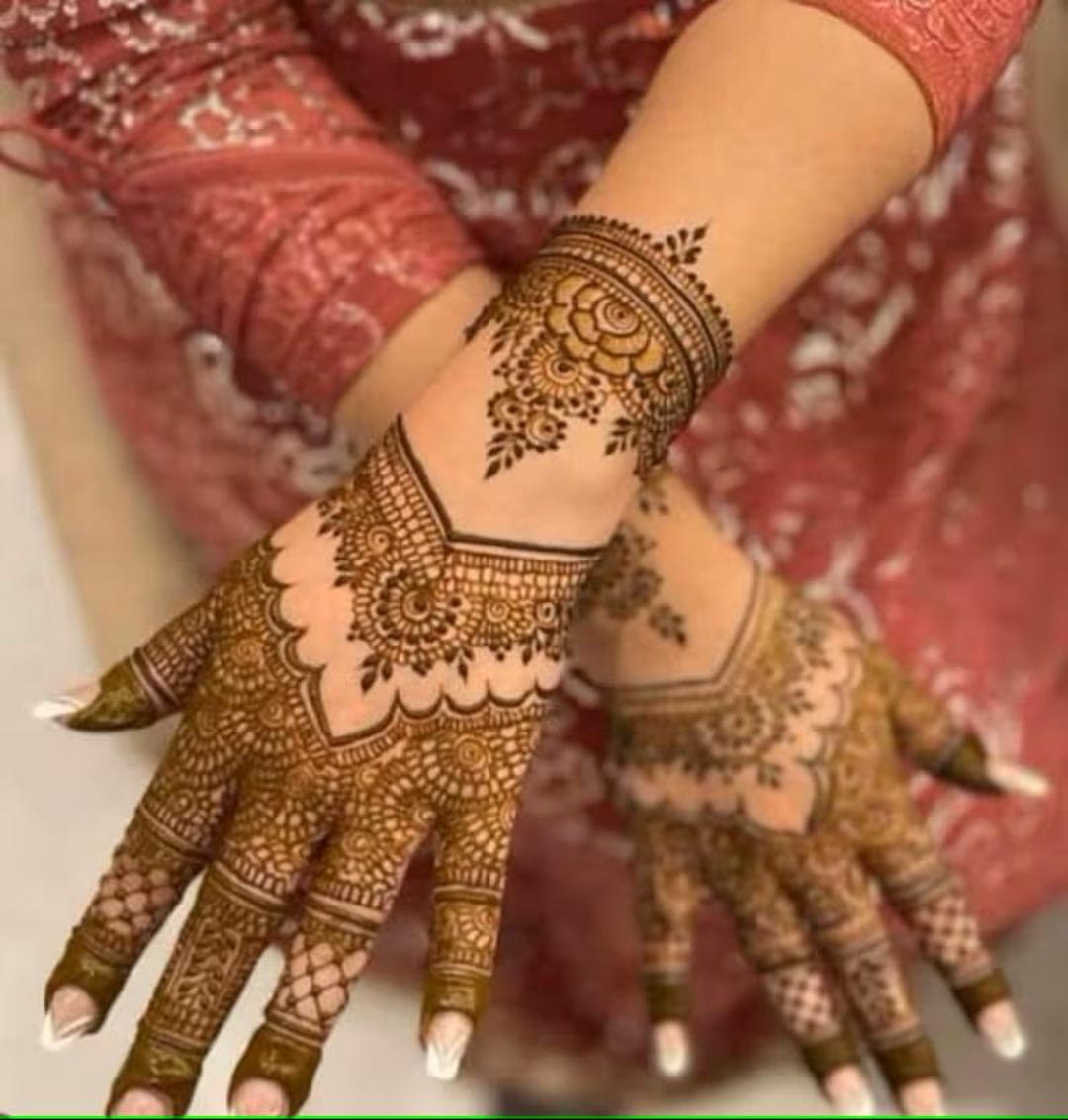 Organic Henna /mehndi Live Plant 8-12 Inch in 4 Inch Pot - Etsy