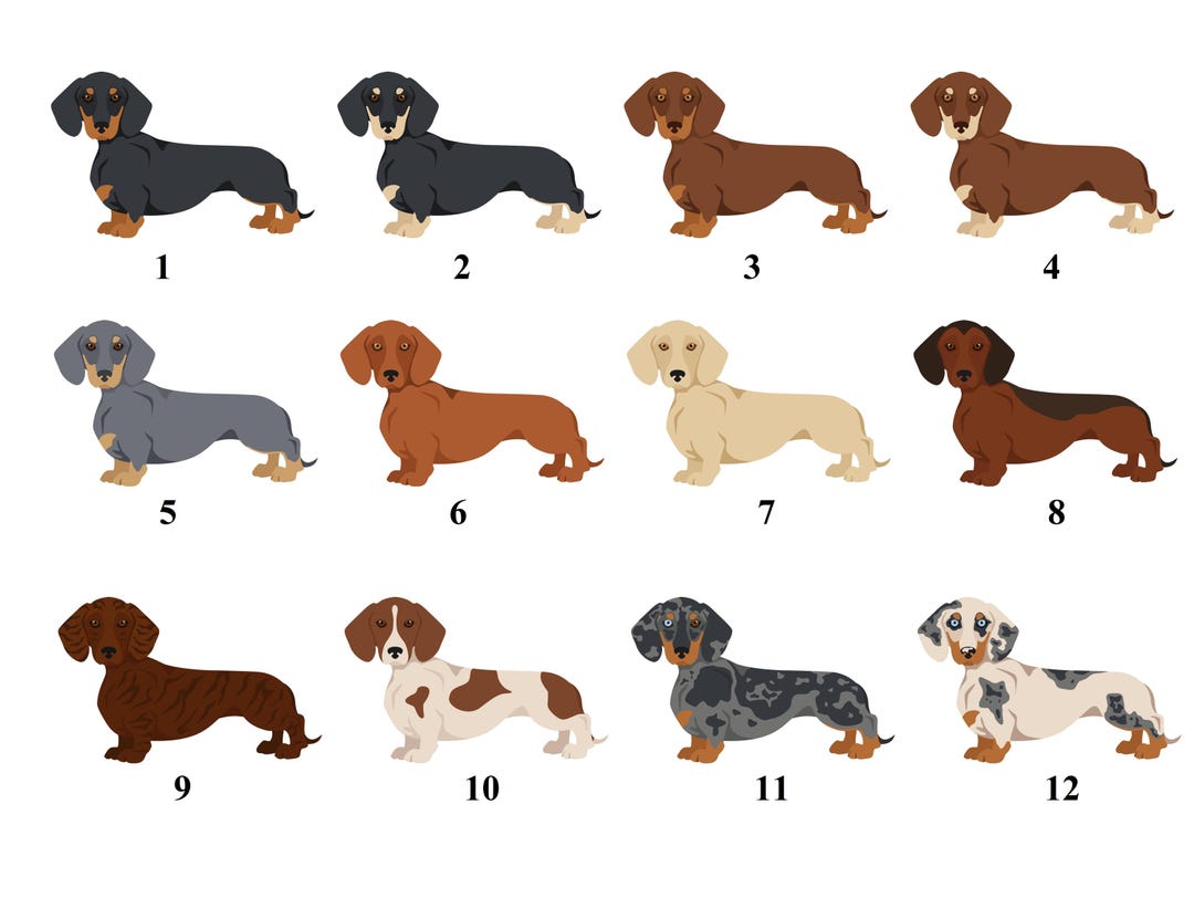 30 Personalized Address Labels Cute Dachshund Dogs (FA 9) - Etsy