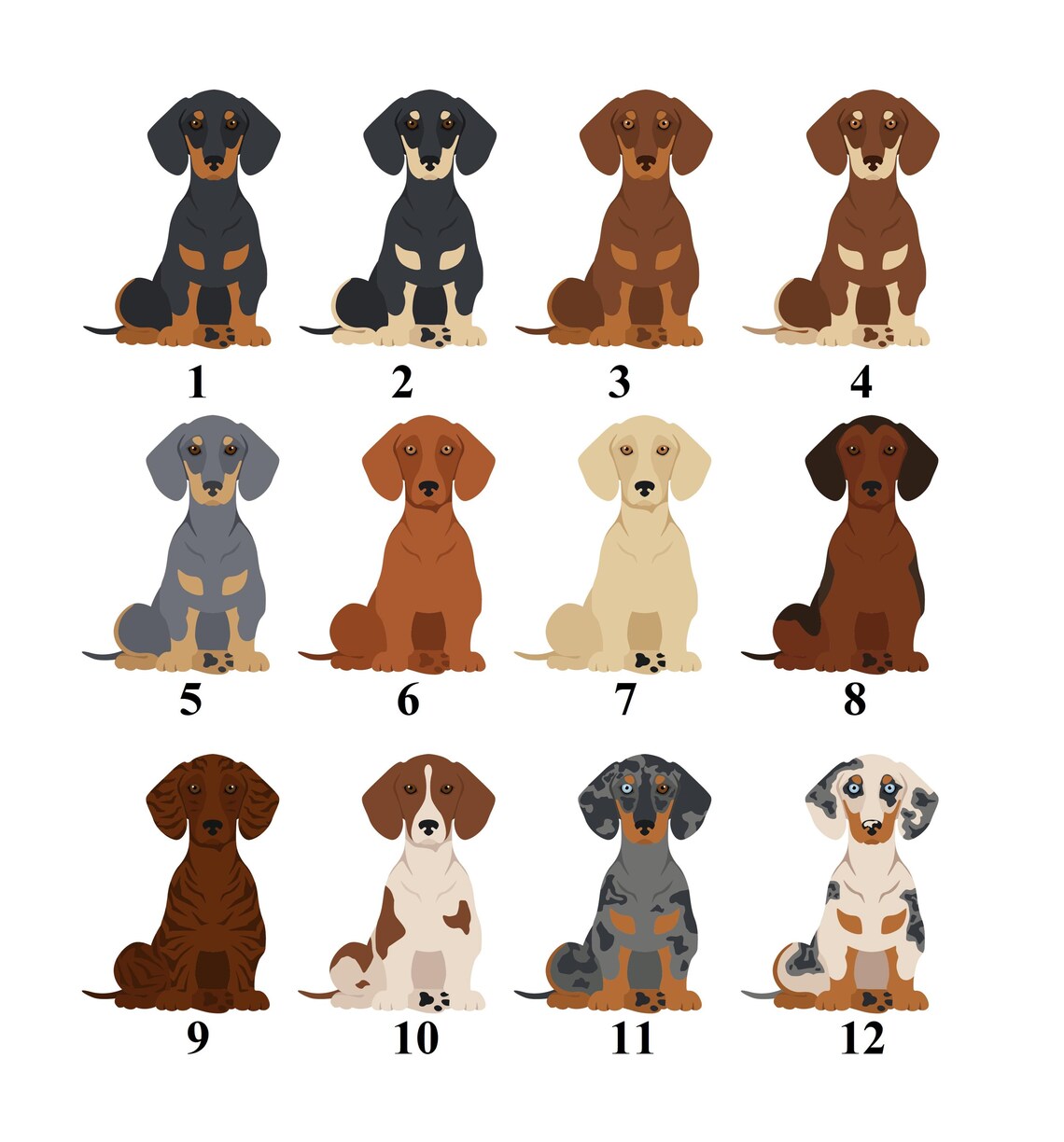 30 Personalized Address Labels Cute Dachshund Dogs Coat Colors (FA 170 ...