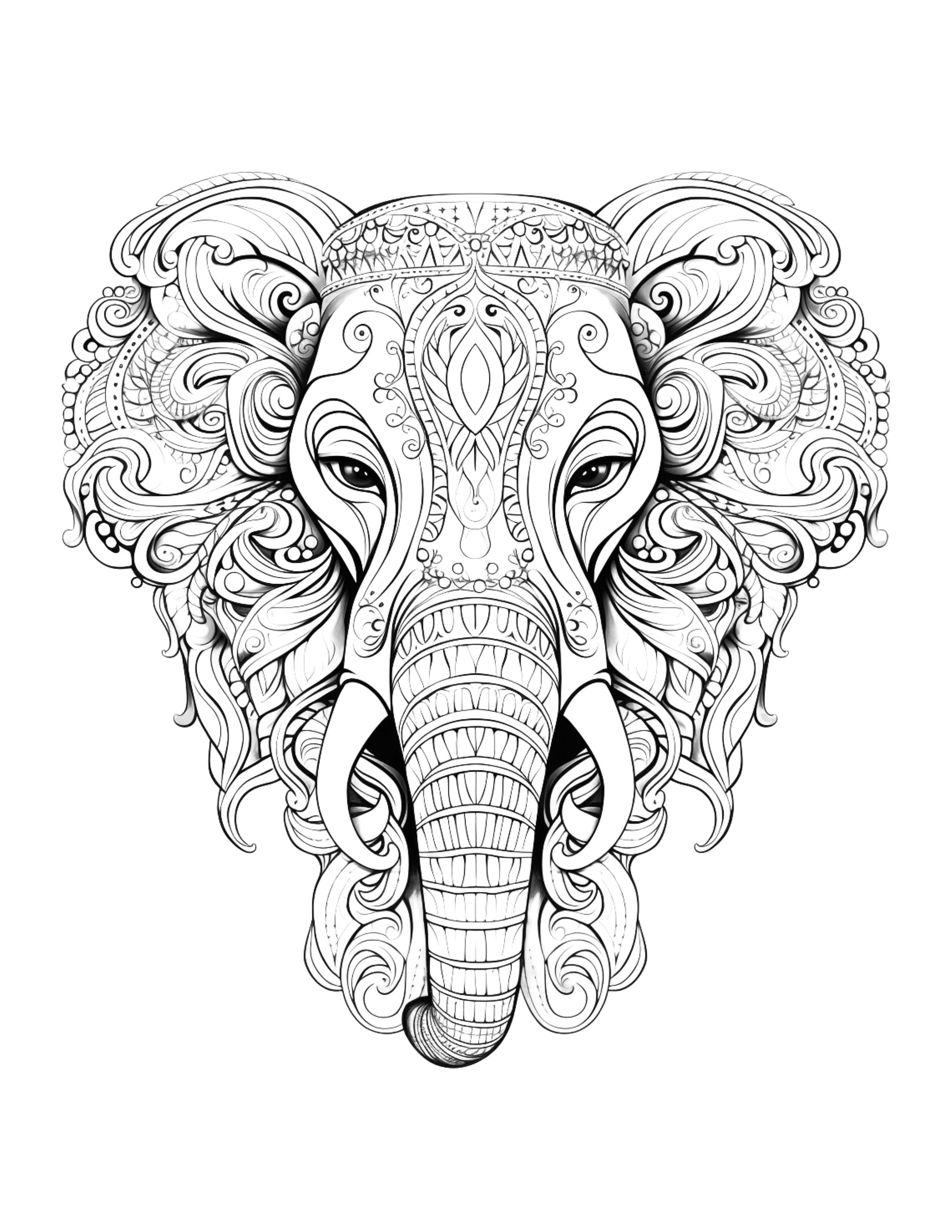 Adult Coloring Pages | 10 Intricate Animal Faces | Printable Coloring ...