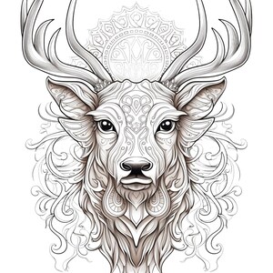 Adult Coloring Pages | 10 Intricate Animal Faces | Printable Coloring ...