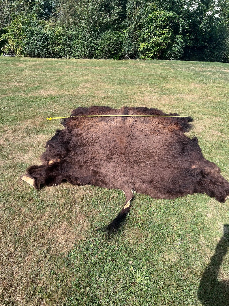 Bison / Buffalo Robe - Etsy