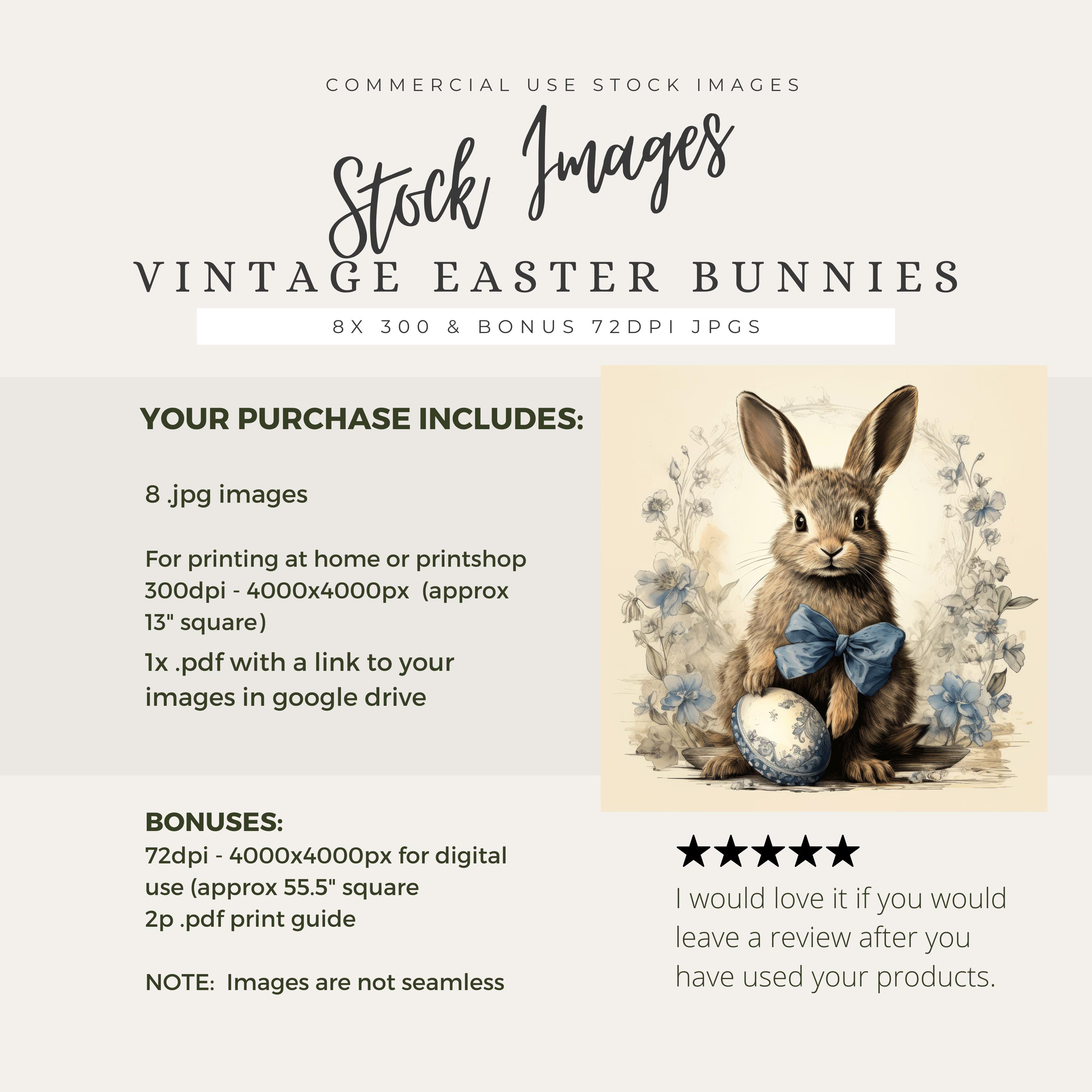 Vintage Easter Bunny Clipart, Digital Download Rabbit Images, Antique ...