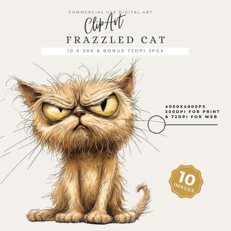 Frazzled Cat Clipart PNG Bundle, Watercolor Style Funny Cats, Digital ...