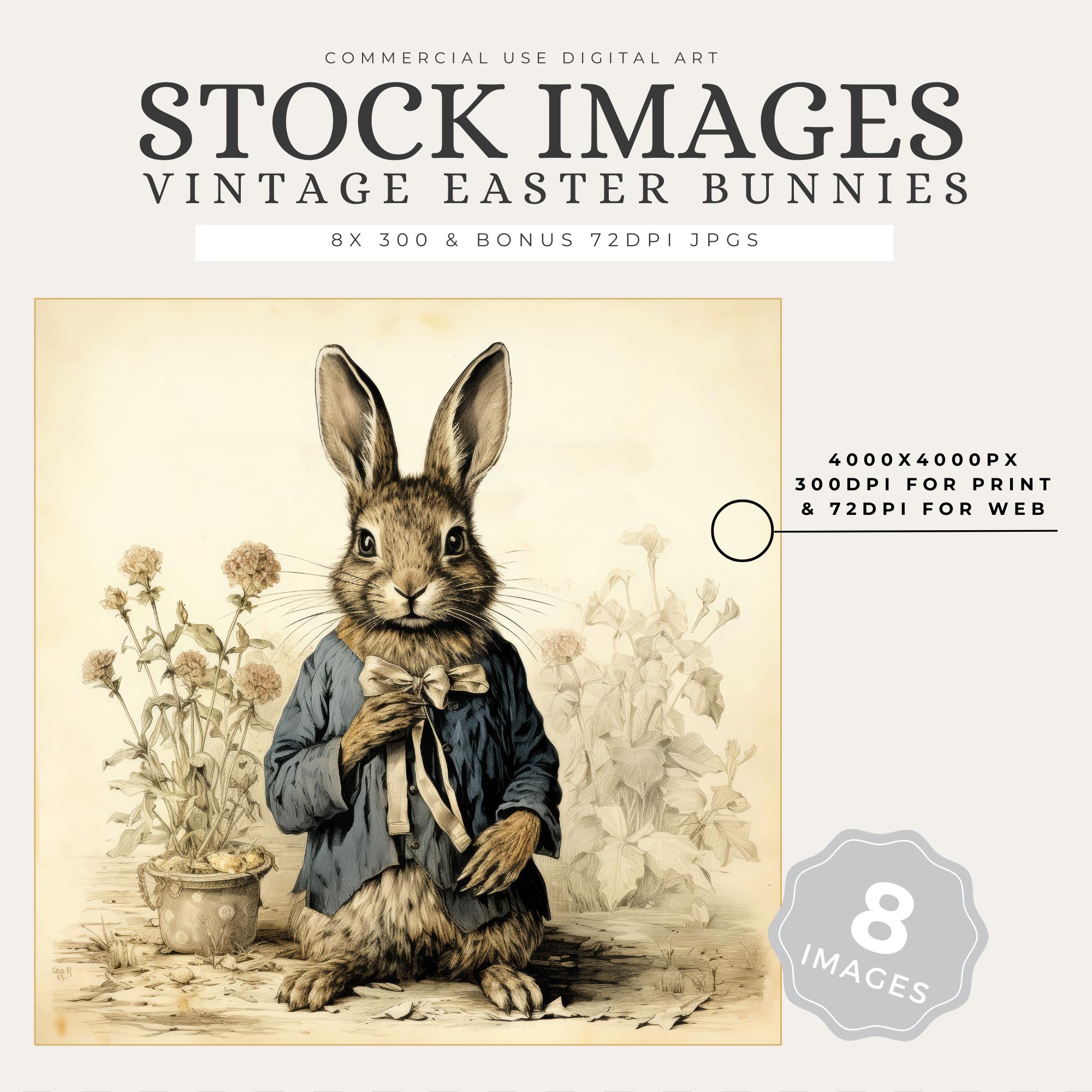 Vintage Easter Bunny Clipart, Digital Download Rabbit Images, Antique ...