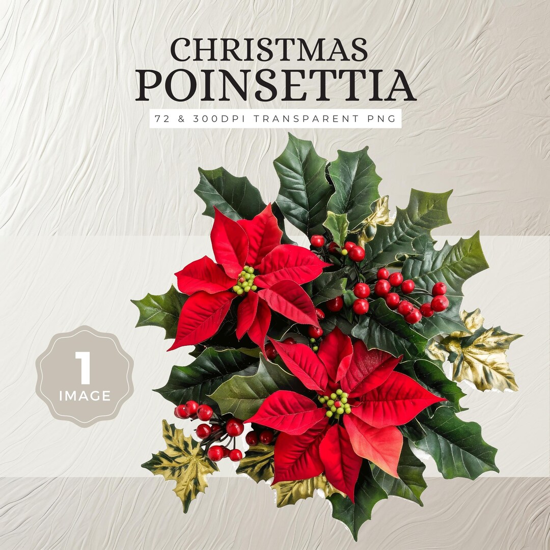Single Poinsettia PNG Clip Art Watercolor Christmas Image With Holly ...