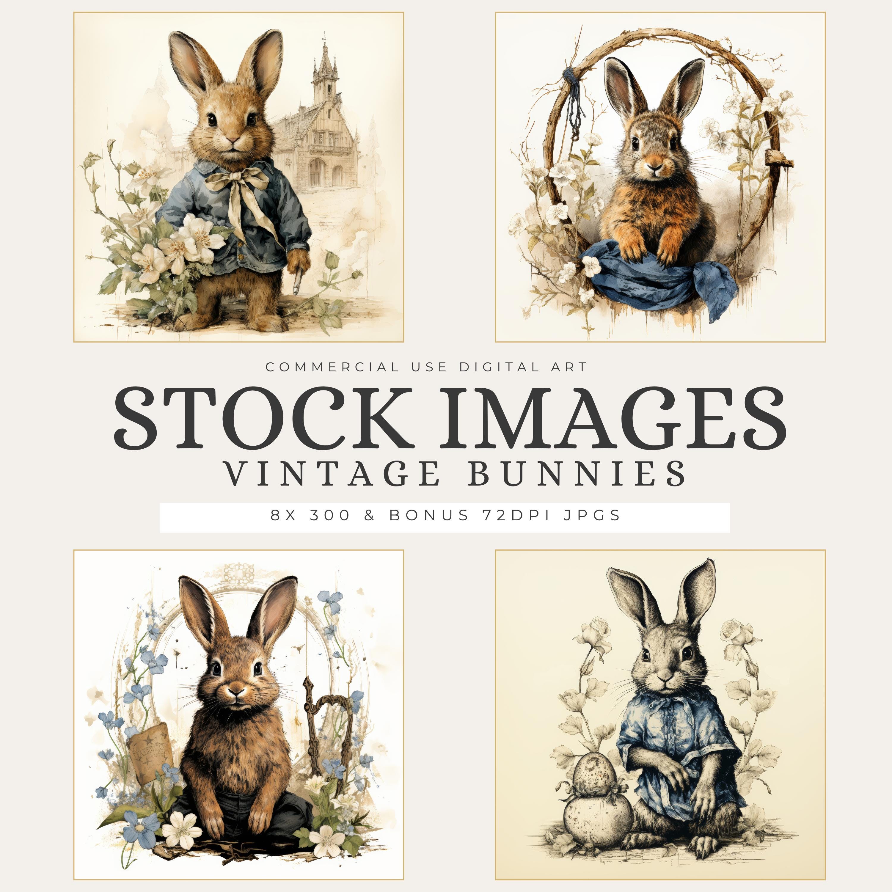 Vintage Bunny Stock Image, 8 Antique Rabbit Illustrations, Commercial ...