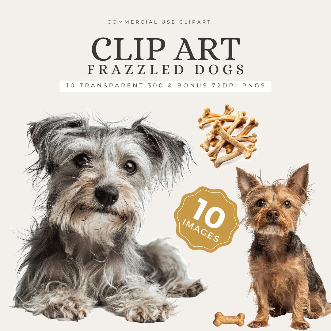 Frazzled Dog Clipart PNG, 10 Funny Quirky Puppy Clipart, Digital ...