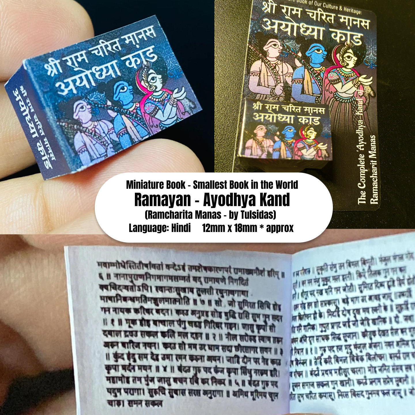 The Ayodhya Kand of World's Smallest Complete Shree Ram Charit Manas ...