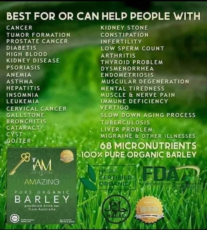 IAM Amazing Barley 10 Sachet - Etsy New Zealand