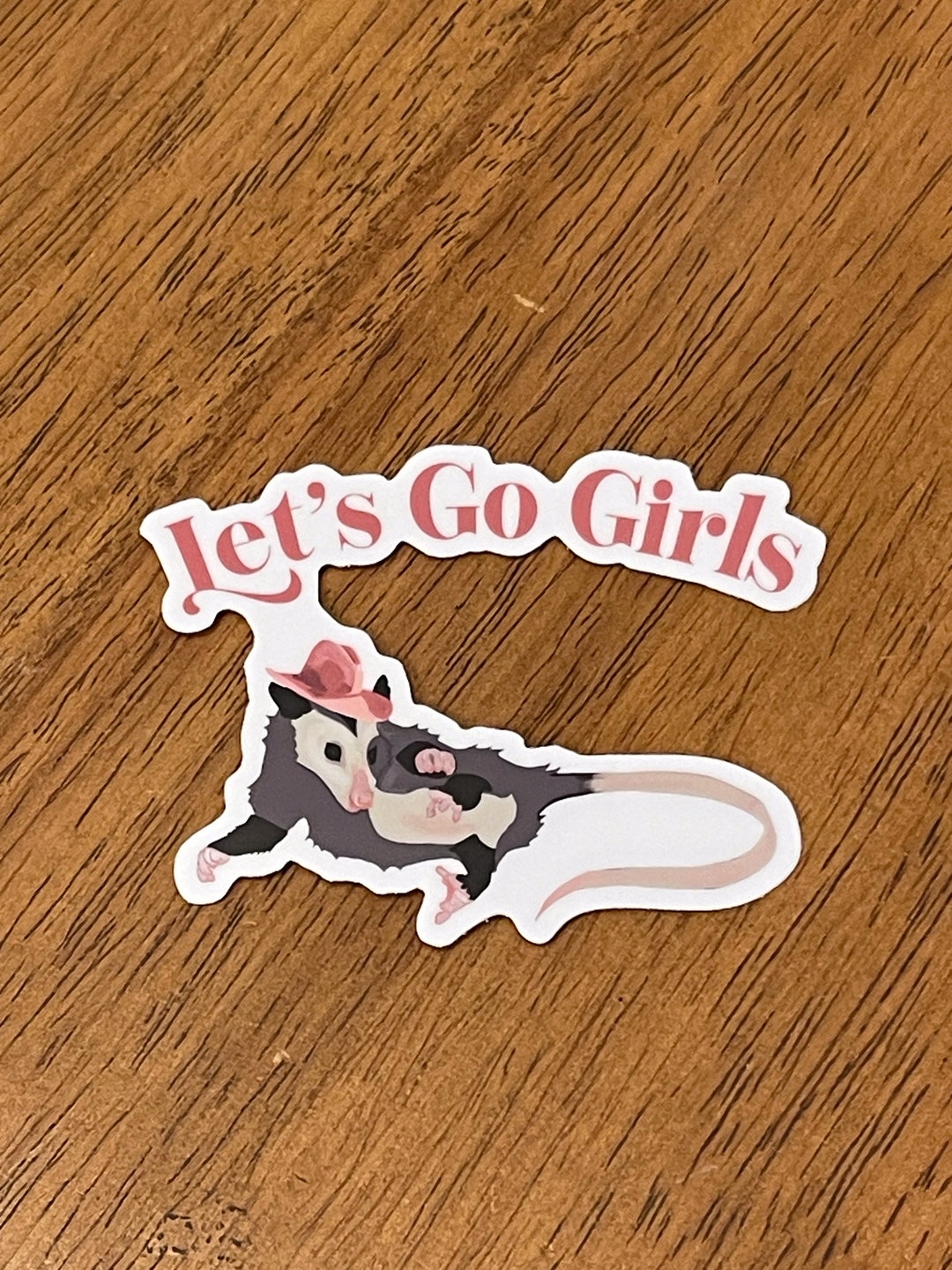 Let's Go Girls Sticker - Etsy