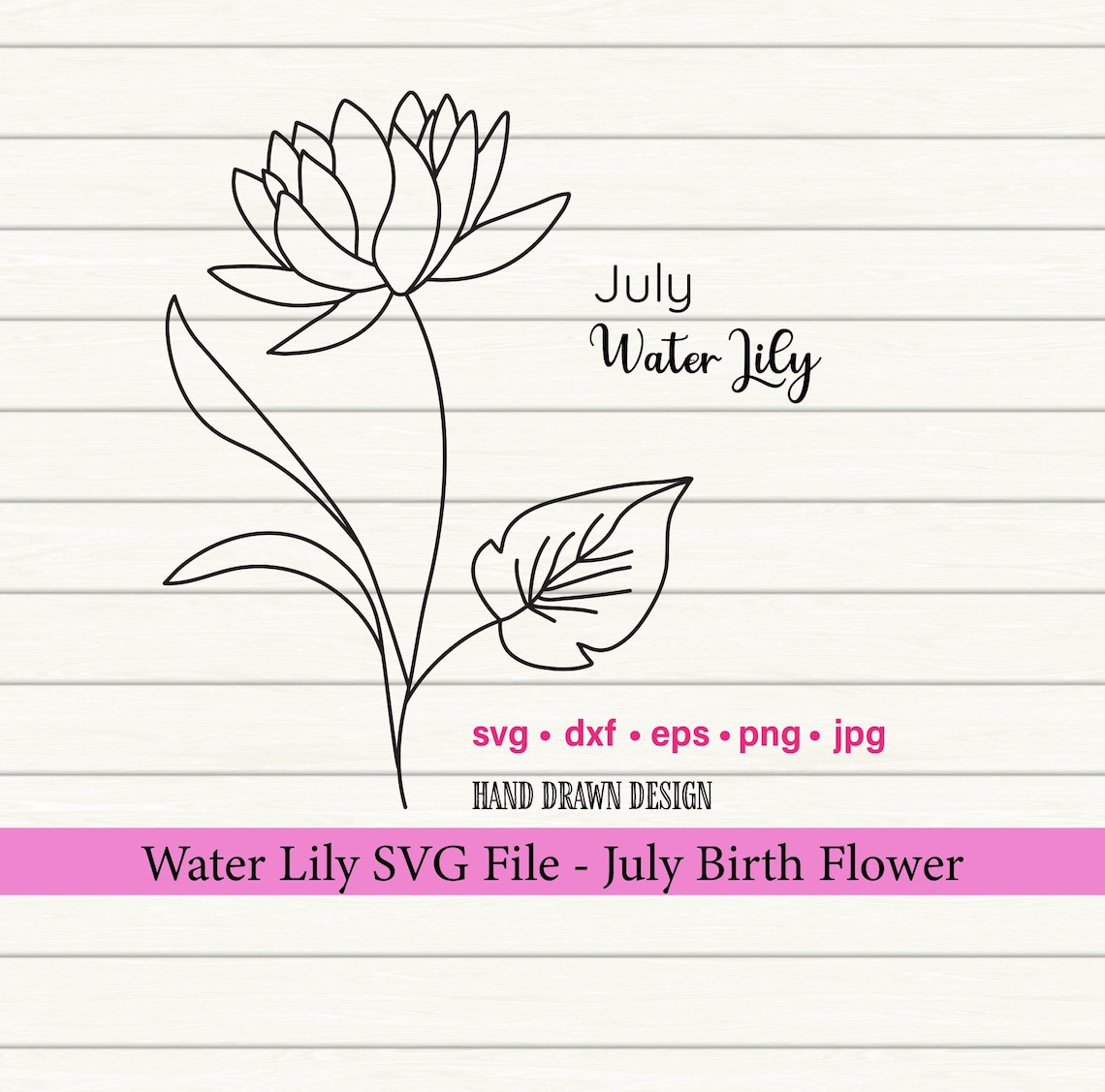 Water Lily SVG, Birth Flower SVG, Birth Month Svg, Water Lily Svg ...