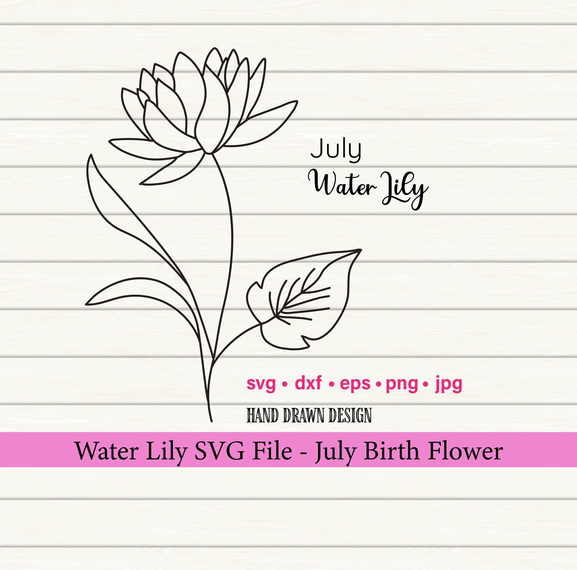 Water Lily SVG, Birth Flower SVG, Birth Month Svg, Water Lily Svg ...