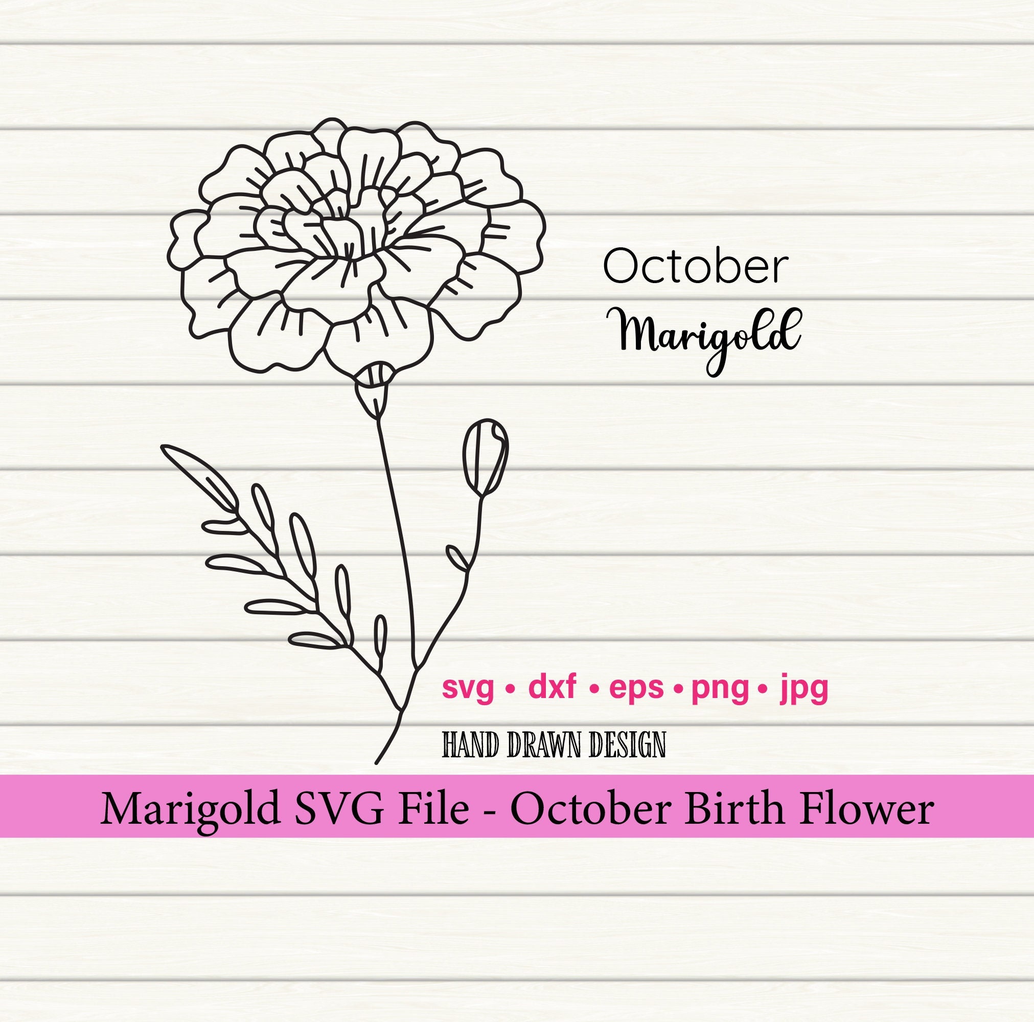 Marigold Flower SVG, October Birth Month, Tattoo Vector (digital ...