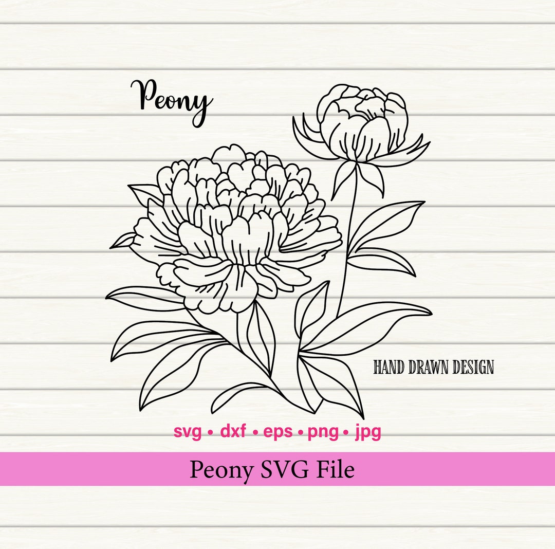 Peony SVG, Botanical SVG, Vector Flower, Peonia Flower Svg, Wildflower ...