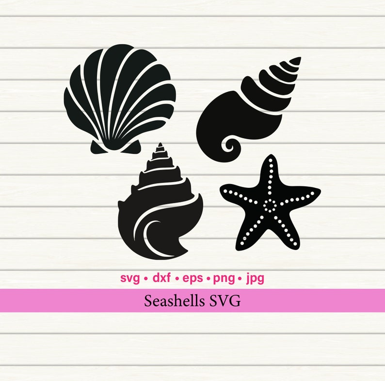 Seashell SVG, Starfish SVG, Sea Shell SVG, Seashell Svg Bundle ...