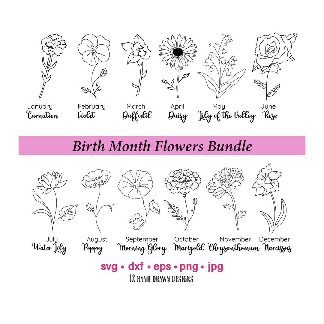 Birth Flower SVG, Birth Flower SVG Bundle, Birth Flower SVG, Birth ...