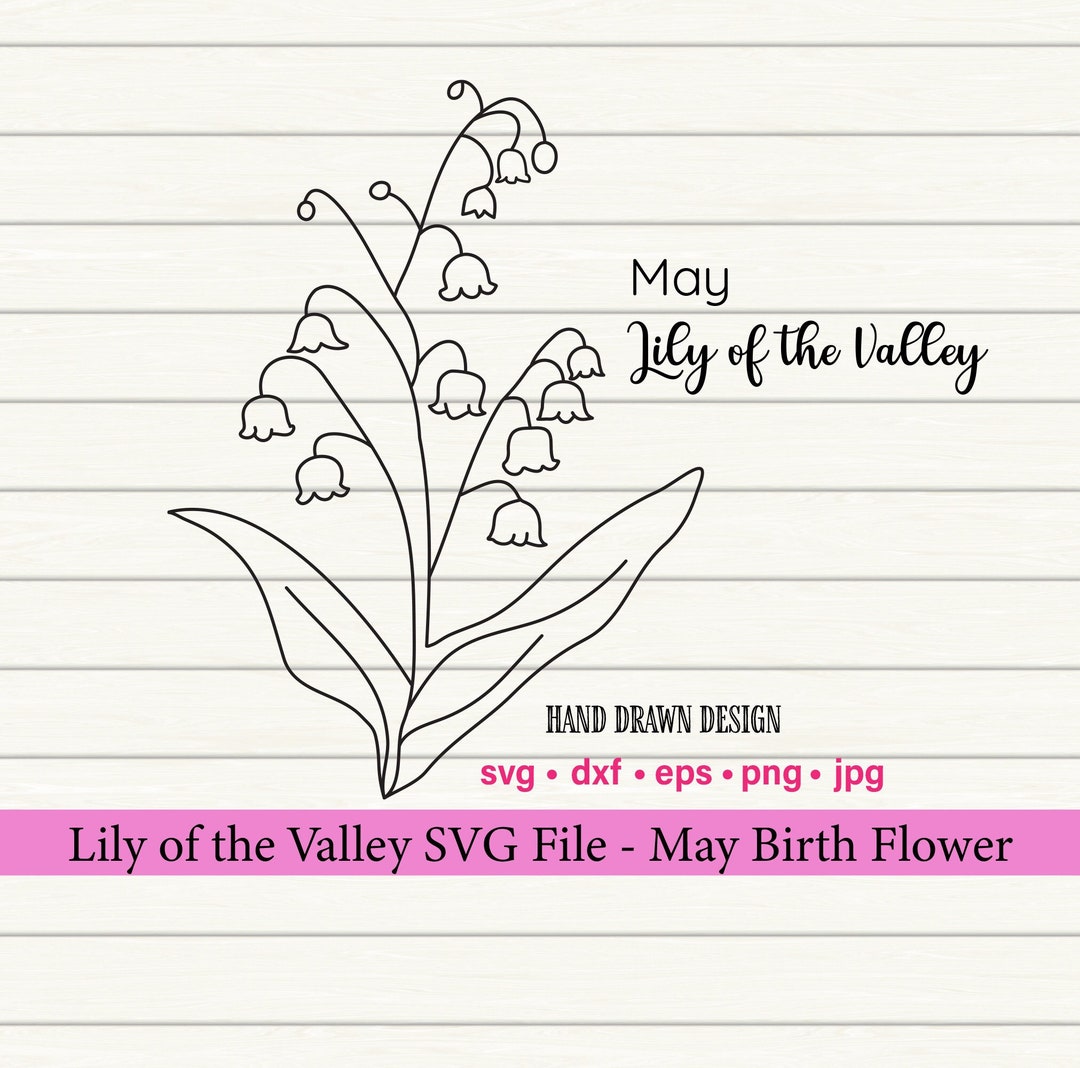 Lily of the Valley SVG, May Birth Flower Clipart (digital Download ...