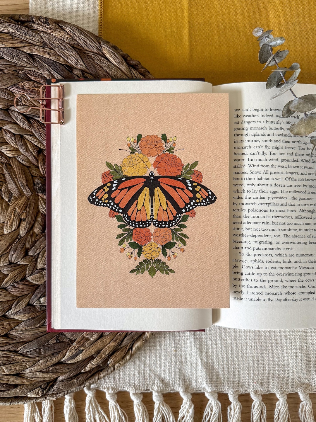Monarch Butterfly Art Print Wall Art, Flower, Insect Art, Home Decor ...