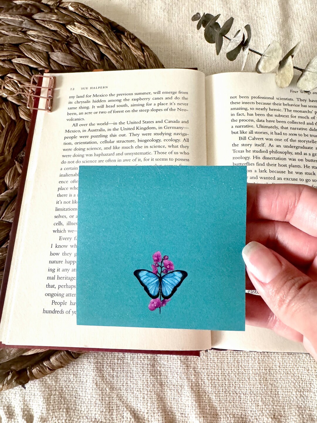 Blue Butterfly Sticky Notes Stationery, Office Supplies, Post-it ...