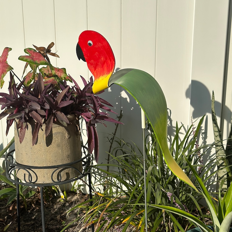 Parrot Decor - Etsy