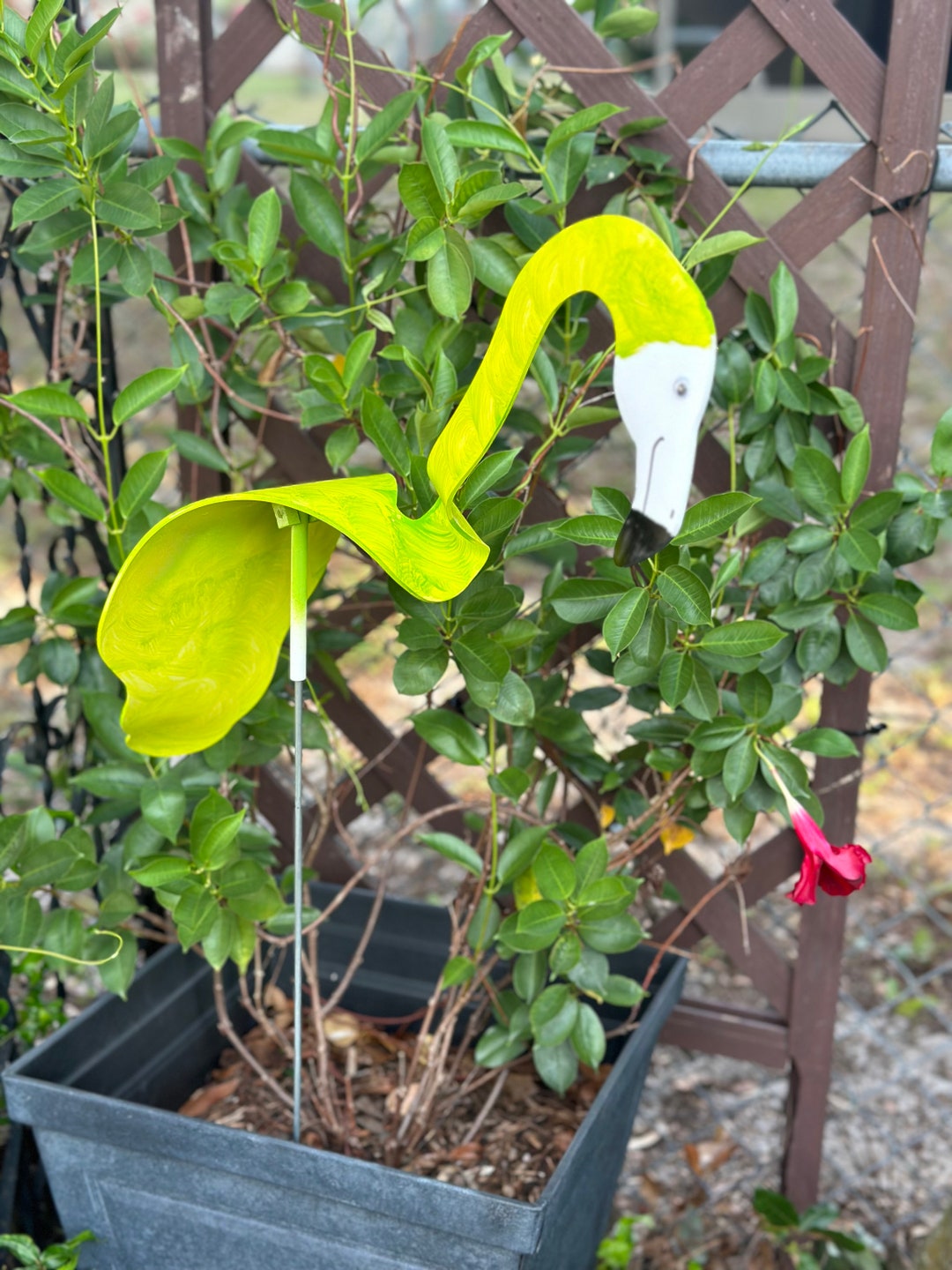 1 Large Key Lime Flamingo Bobbing Bird Dancing Balancing - Etsy