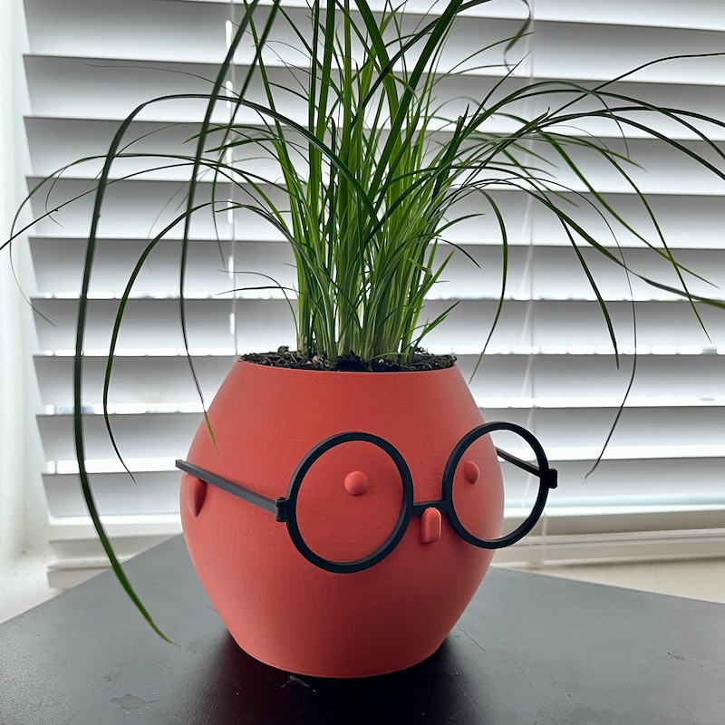 3d Printed People Planter - Etsy