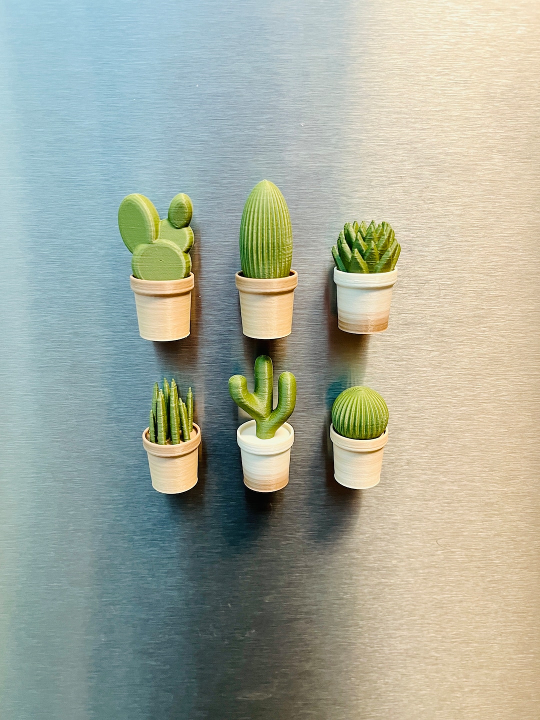 6 Small Cacti Fridge Magnets - 3D Printed Cacti - Etsy