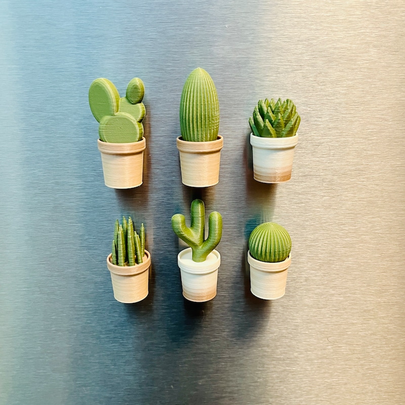 Cactus Photo Set 3 - Etsy