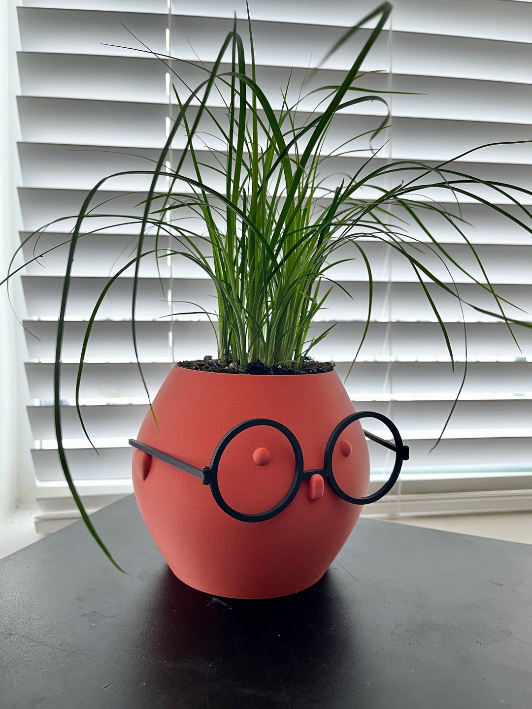 Unique Indoor Pot With a Face and Glasses: A Fun and Quirky Decorative ...