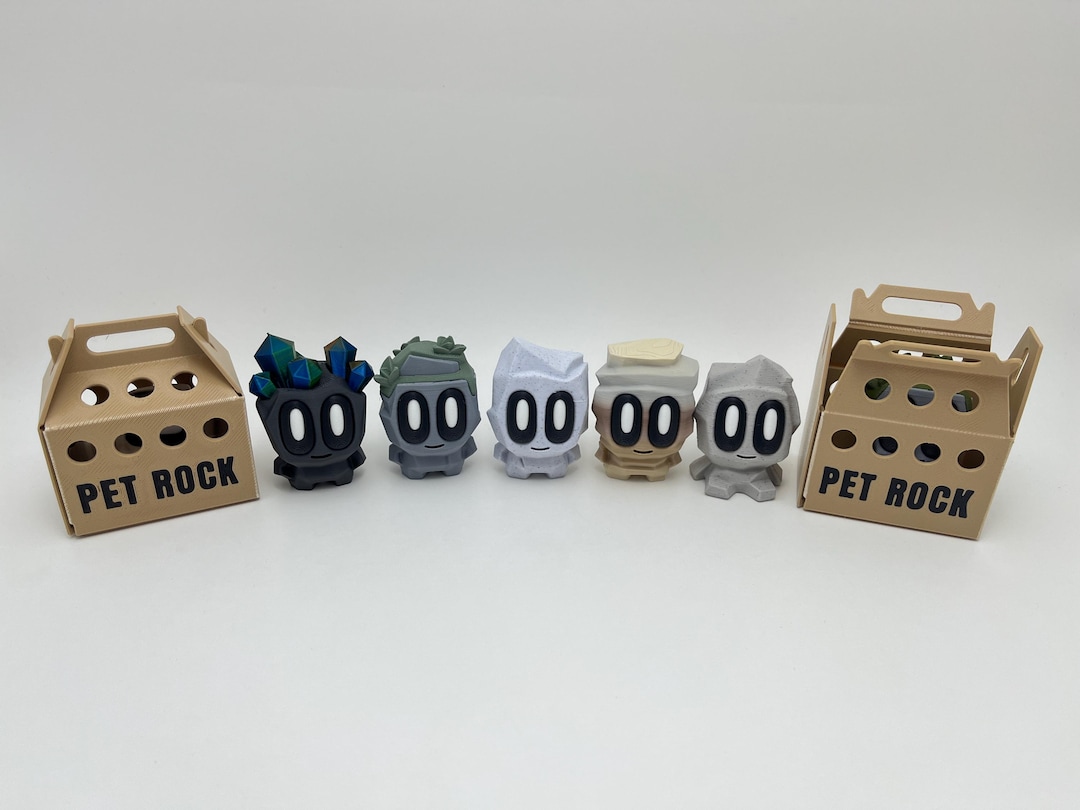 3D Printed Pet Rock With Box - Little Rock Friend - Pet Rock - Rock ...