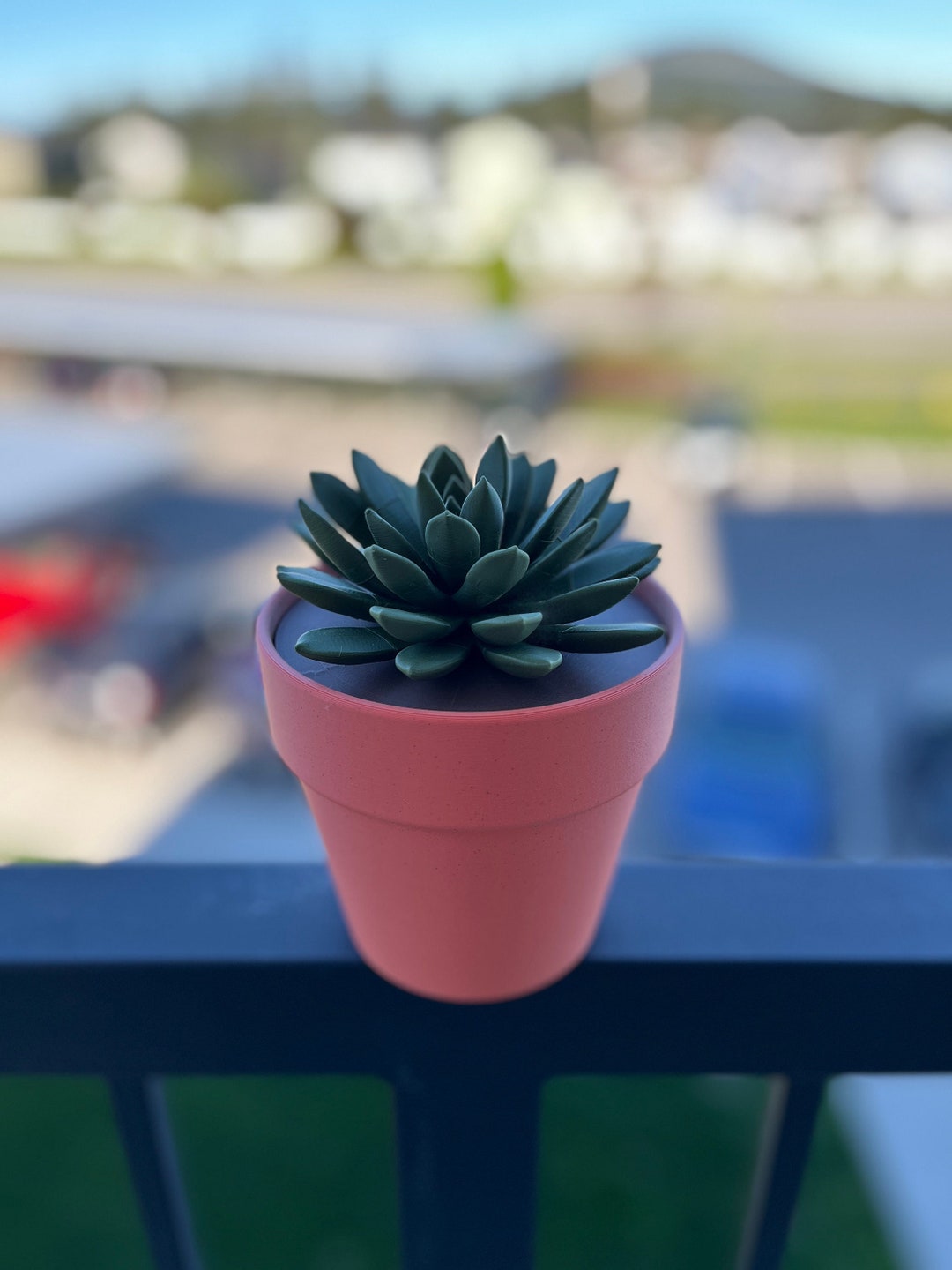 Push Pin Succulent Plant Office Plant Usable Decor - Etsy